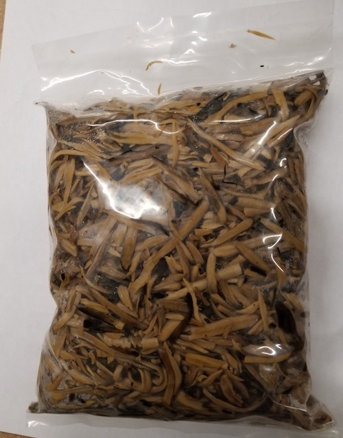 Fresh Ugba (Ukana) – 1 Lb - Royac Shop